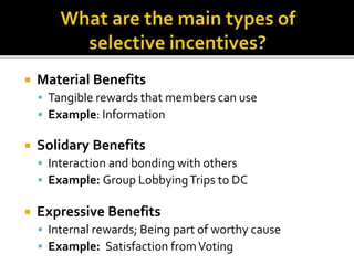 Interest Groups | PPTX