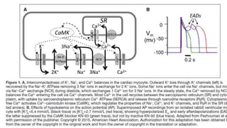 INTERESTING ECGS | PPTX