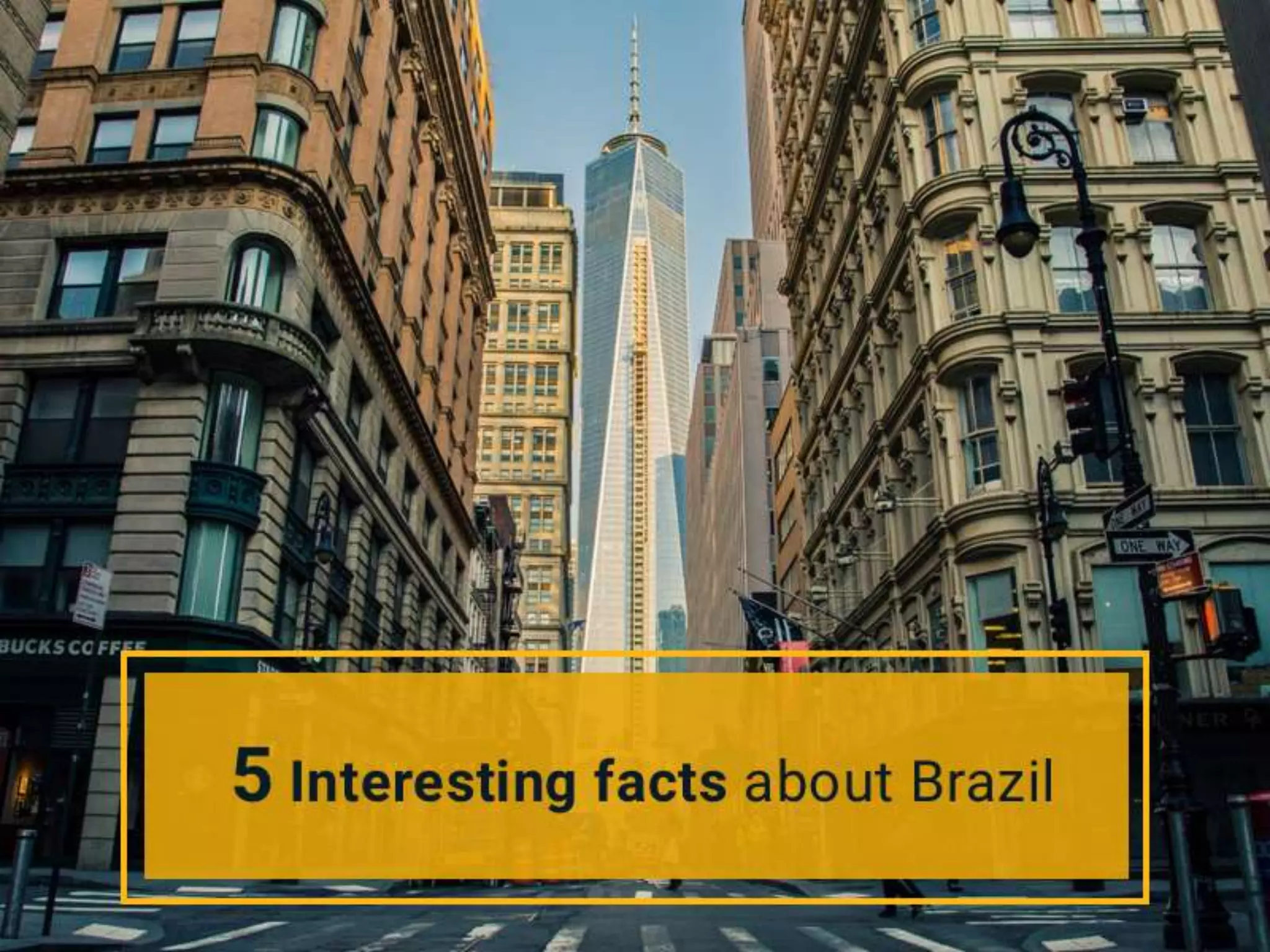 Interesting facts about brazil | PPTX