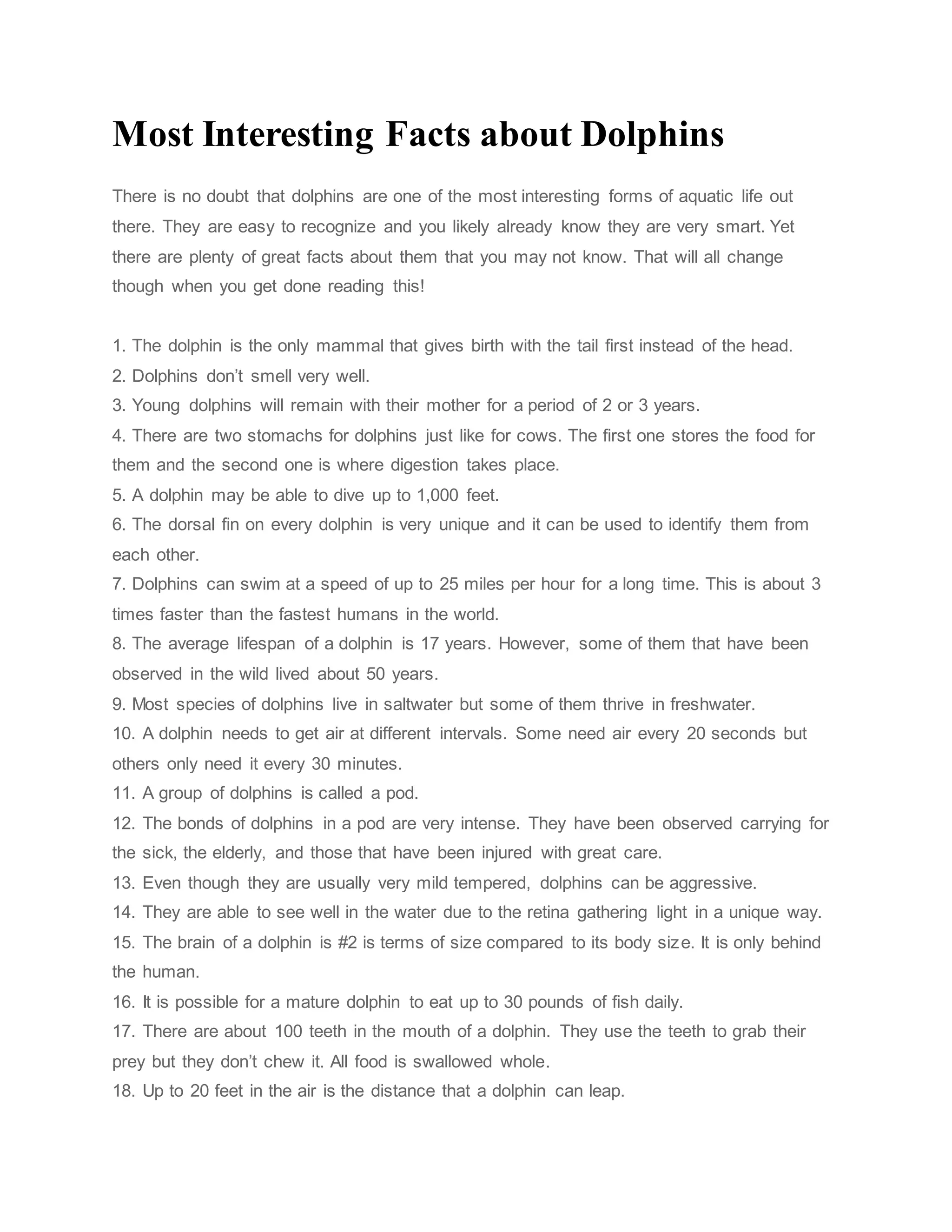 Interesting facts about dolphins | DOCX