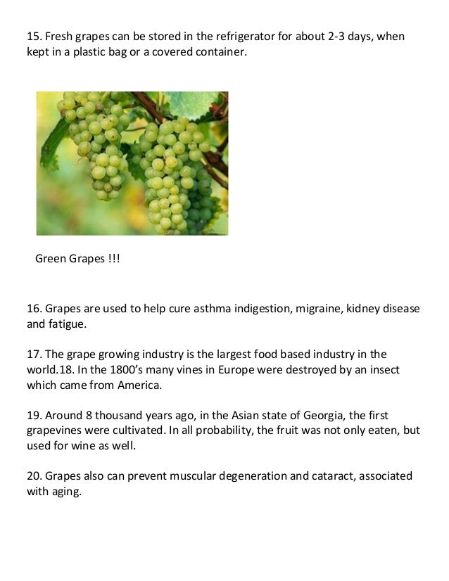 Interesting facts about grapes