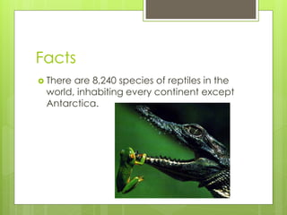 Interesting facts about vertebrates | PDF