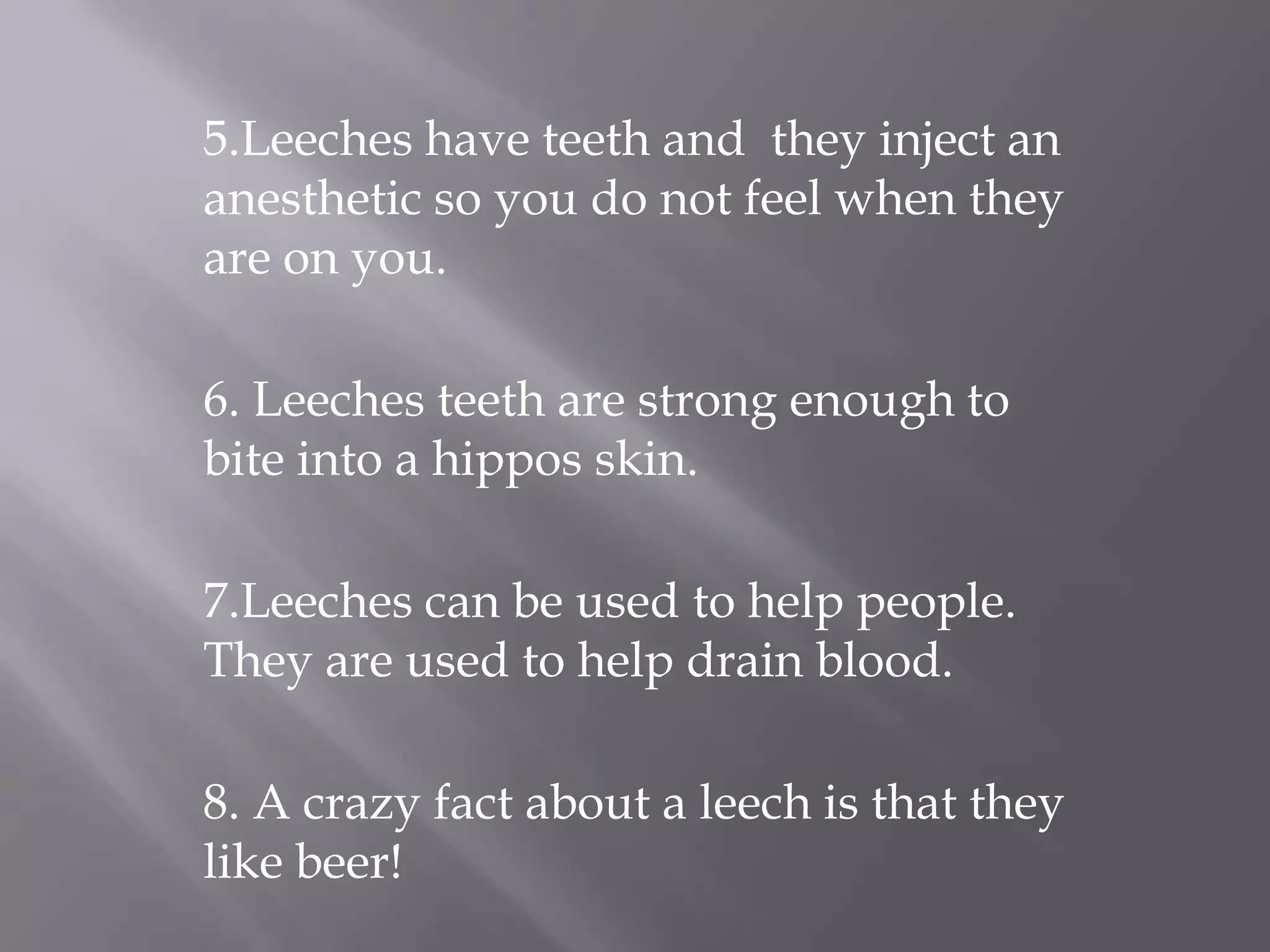 Interesting facts about leeches | PPT