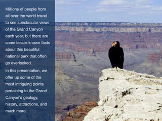 Interesting facts about the grand canyon | PDF