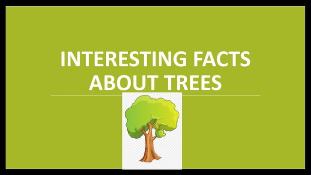 Interesting facts about trees.pptx