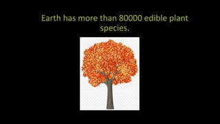 Interesting facts about trees.pptx