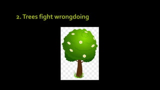 Interesting facts about trees.pptx