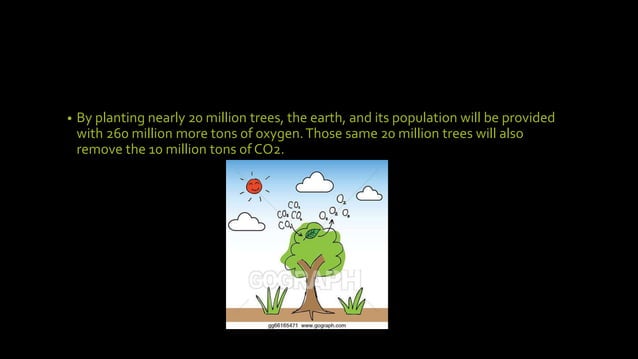 Interesting facts about trees.pptx