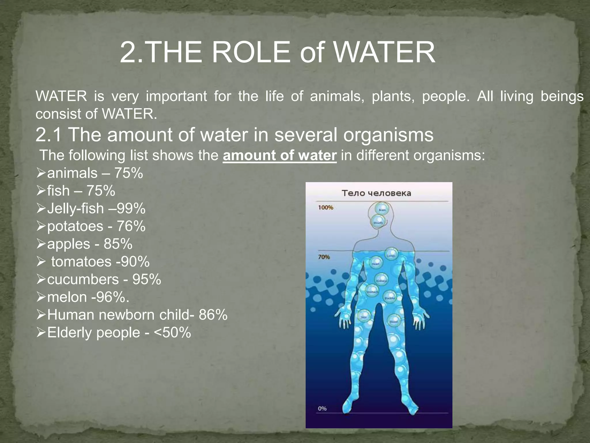 Interesting facts about water | PPT