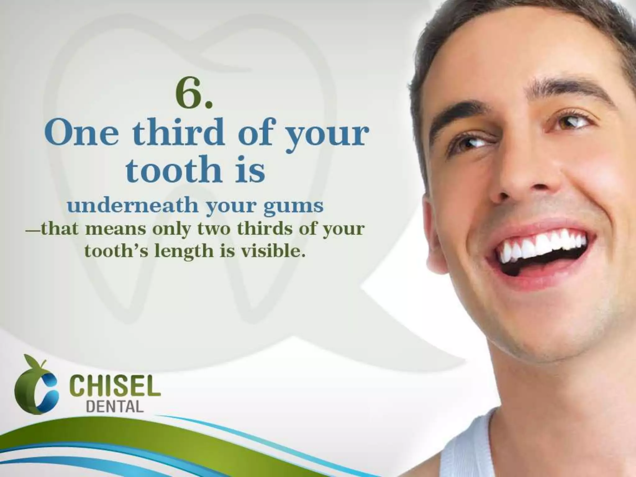 Interesting facts of Teeth | PPT