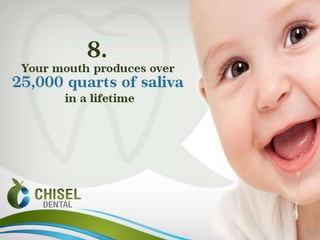 Interesting facts of Teeth | PPT