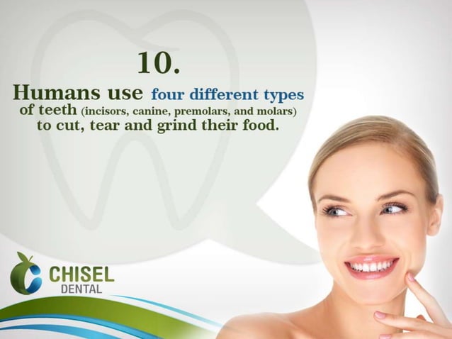 Interesting facts of Teeth | PPT