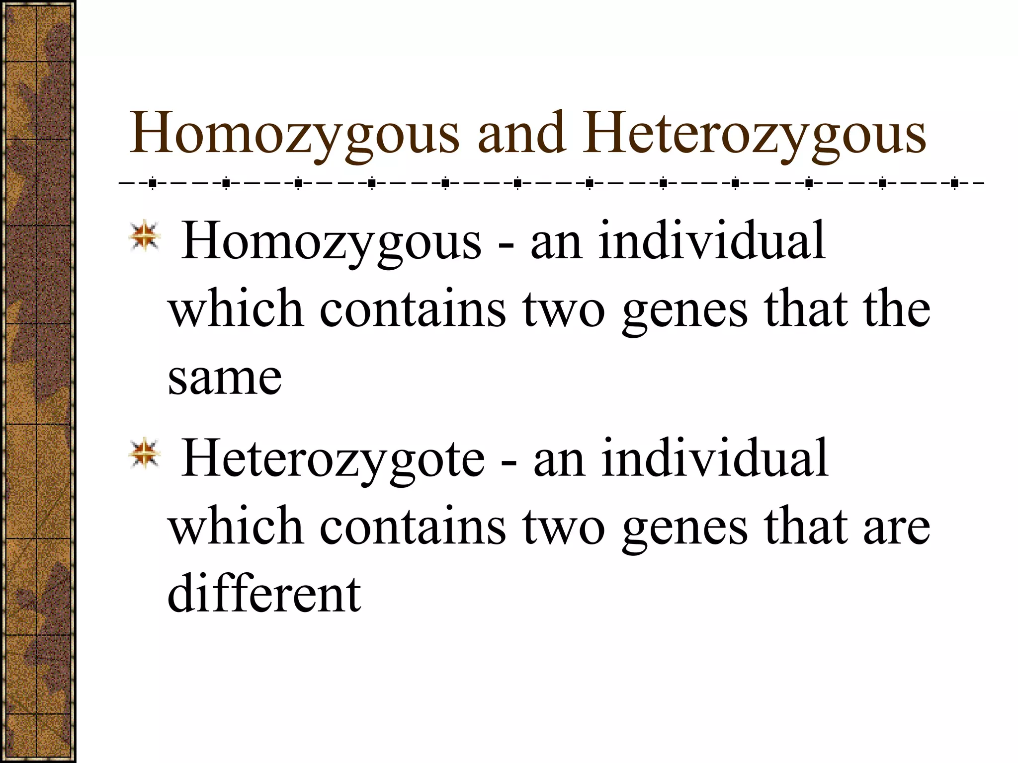 Interesting Facts about Genetics | PPT