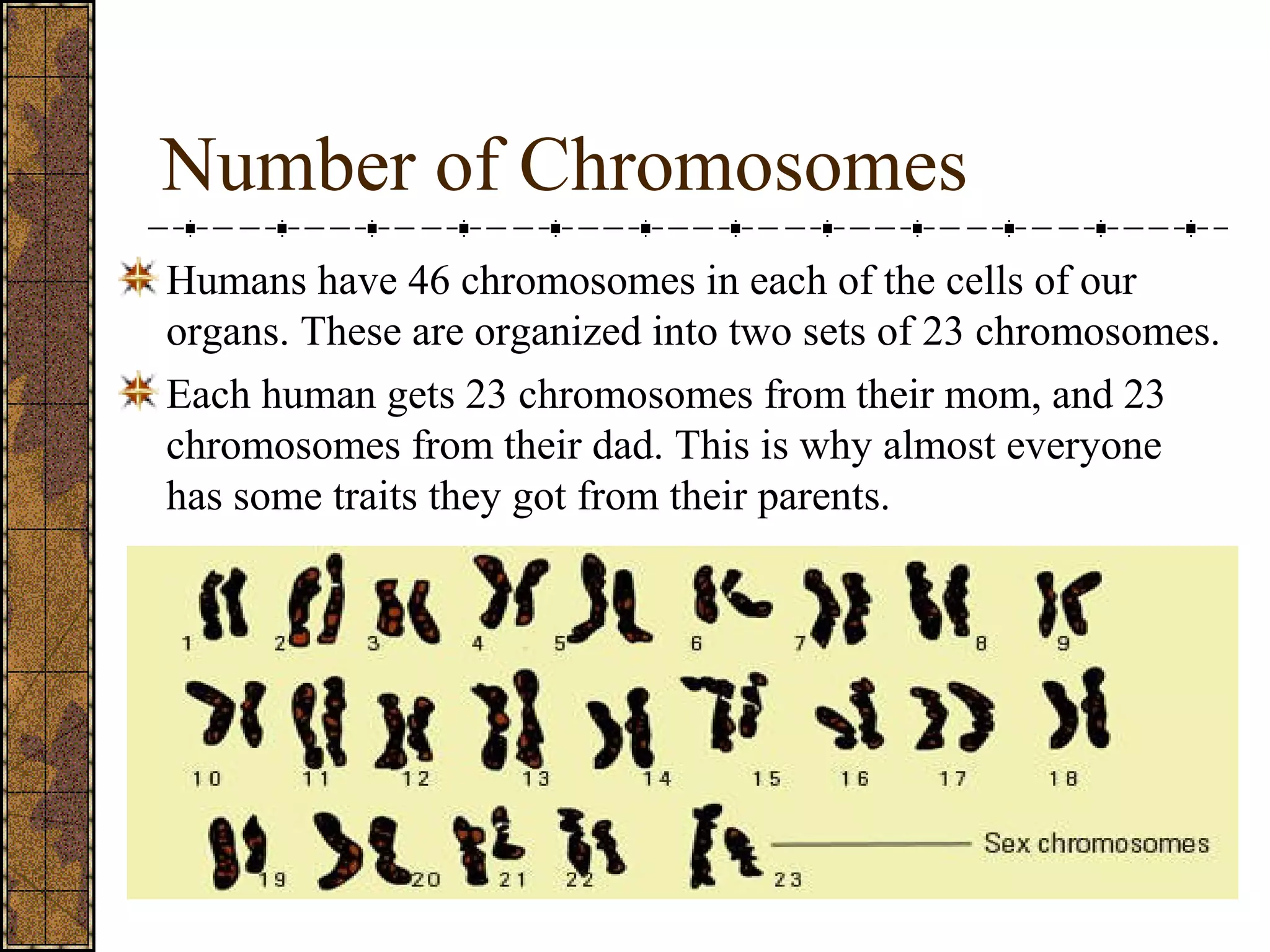 Interesting Facts about Genetics | PPT