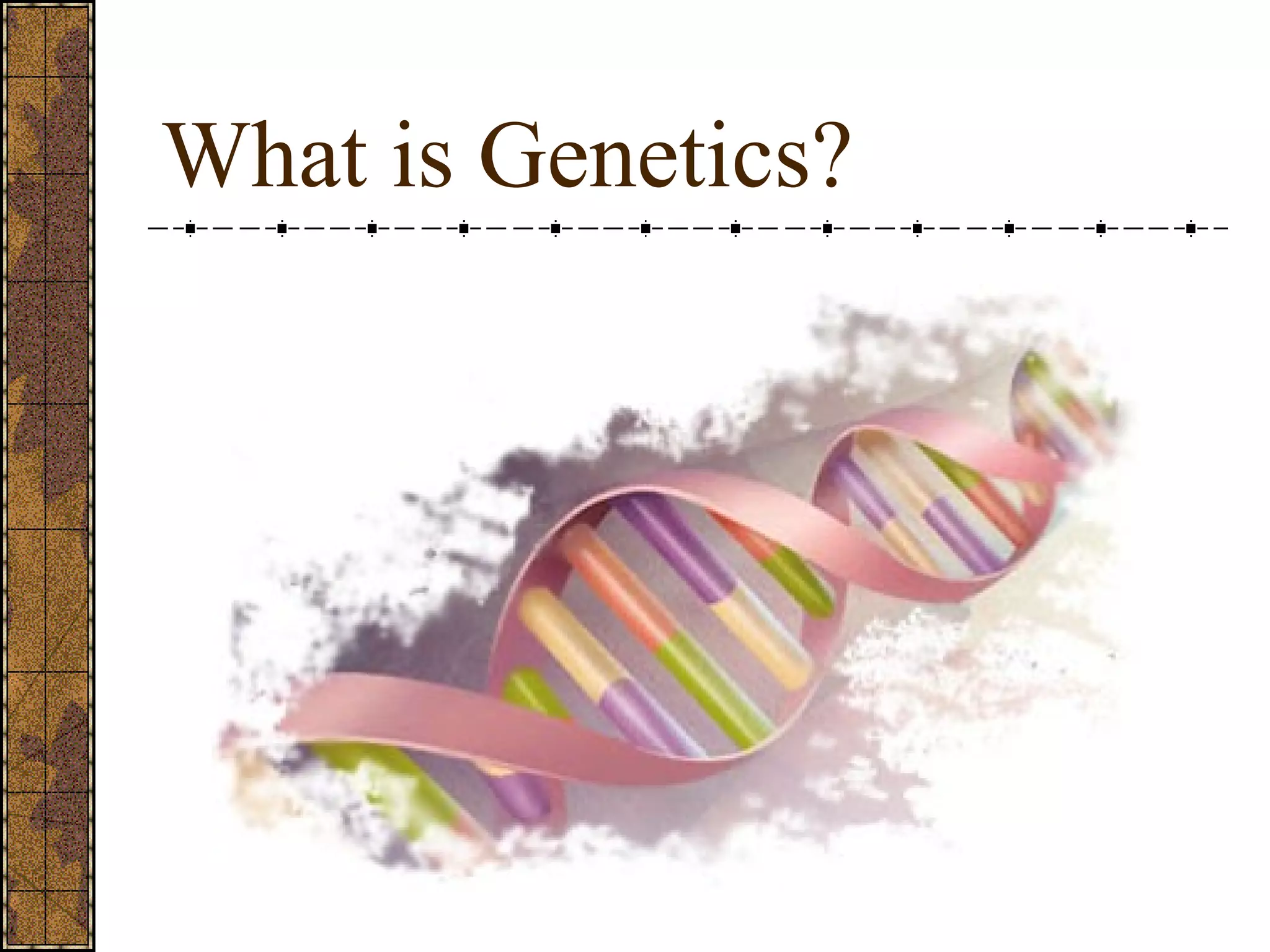 Interesting Facts about Genetics | PPT