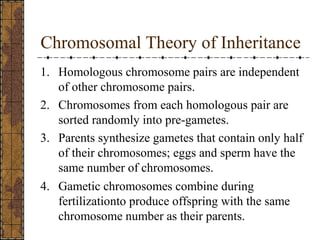 Interesting Facts about Genetics | PPT