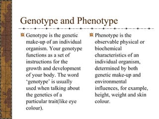 Genotype Vs Phenotype Venn Diagram