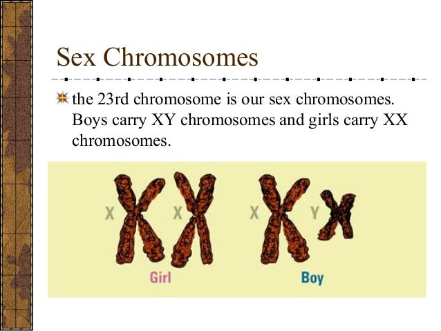 Interesting Facts about Genetics