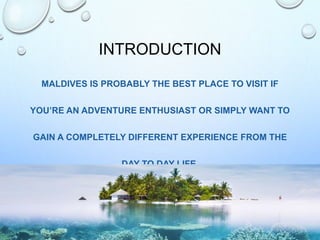 Interesting Under Water Activities in Maldives | PPT