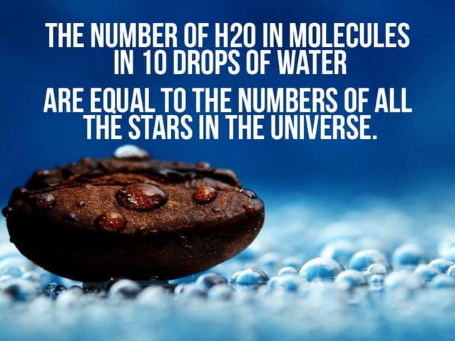 Interesting Water Facts | PDF