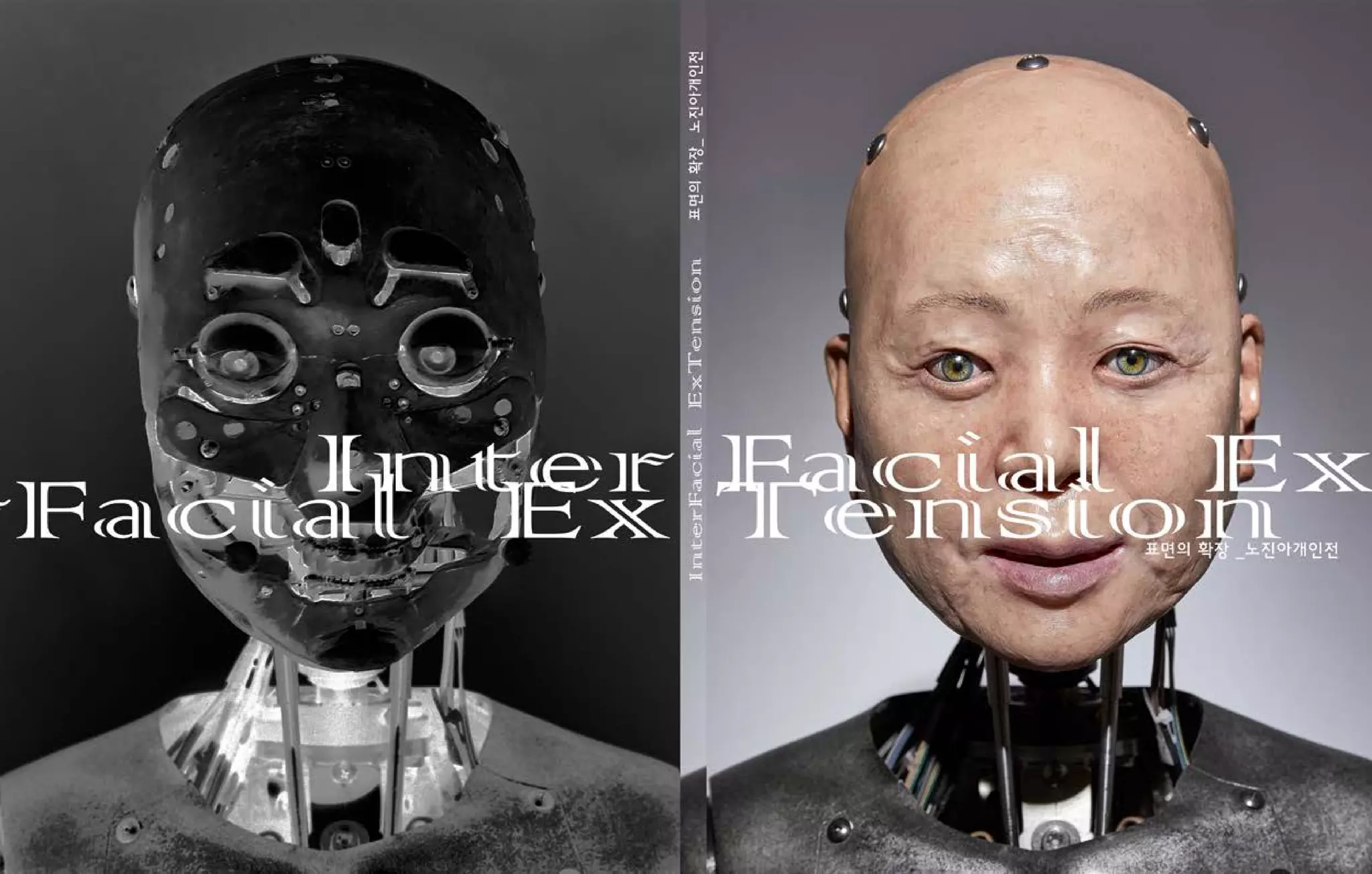 InterFacial Extension 표면의 확장 | PDF