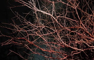 InterFacial Extension 표면의 확장 | PDF