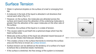 Interfacial phenomena and surface tension.pptx