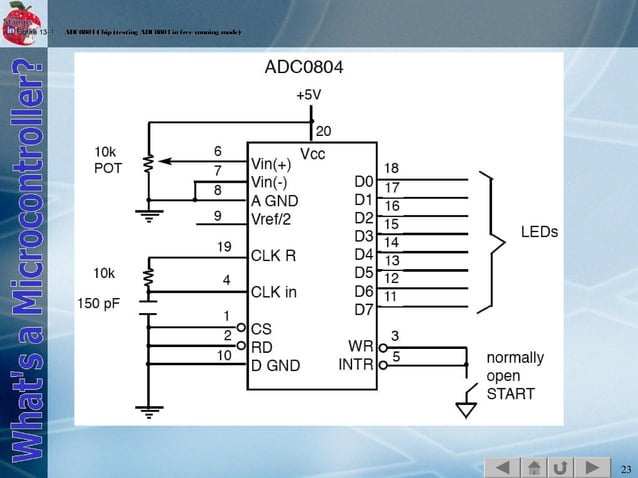 Interfacing 8051 with Real World | PPT | Computer Peripherals | Computing