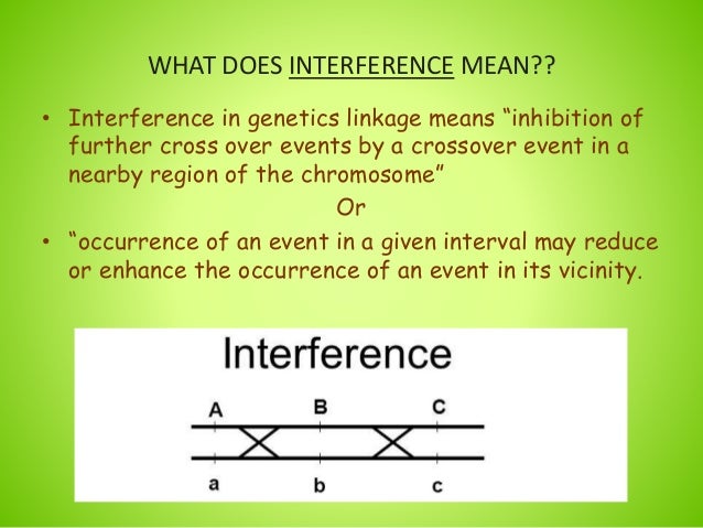 Interference