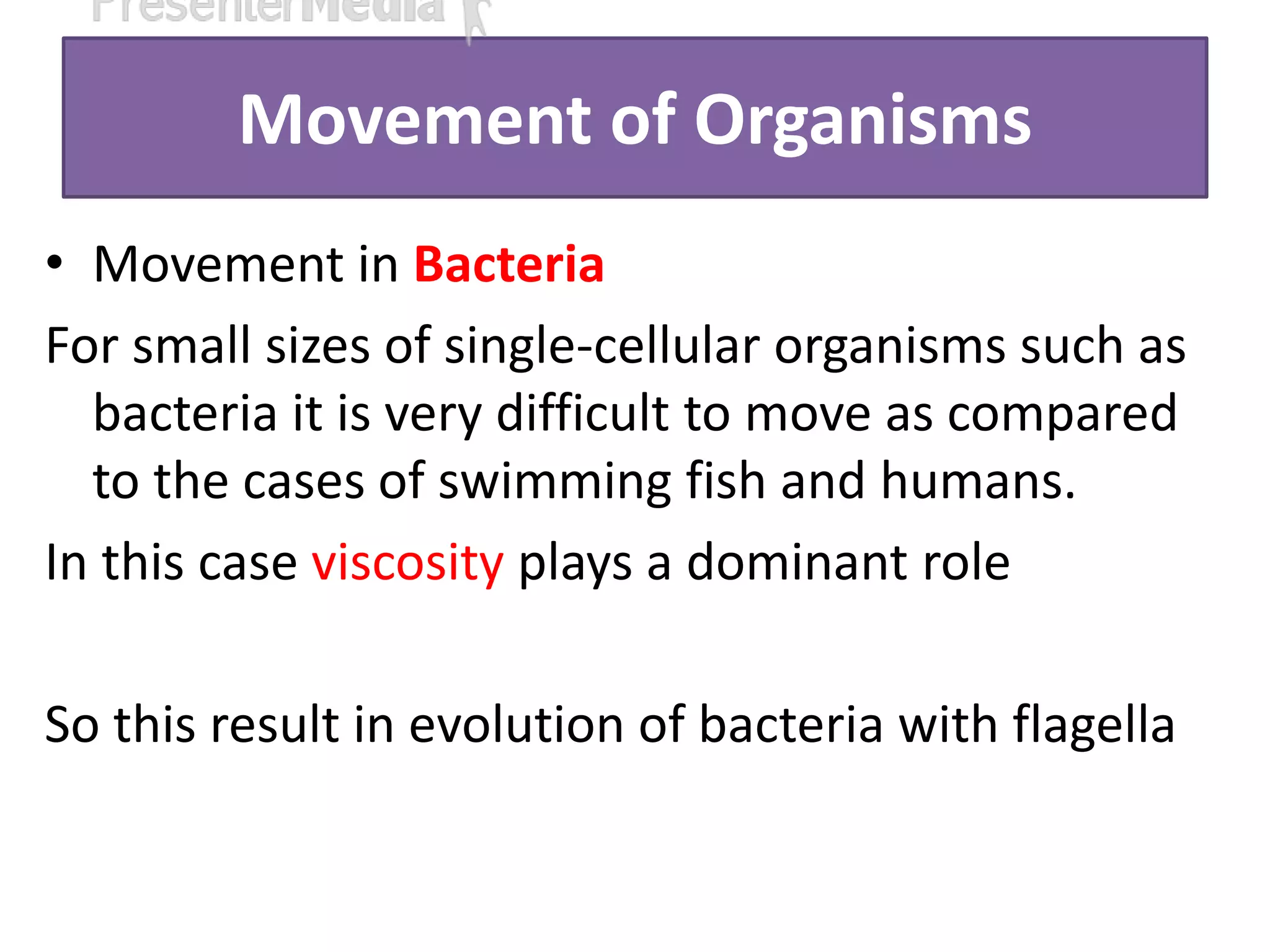 Interference between physics and biology | PPTX