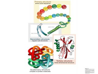 Interference between physics and biology | PPTX