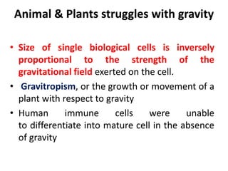 Interference between physics and biology | PPTX