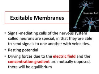 Interference between physics and biology | PPTX