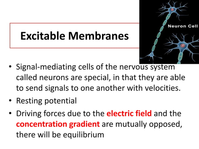 Interference between physics and biology | PPTX