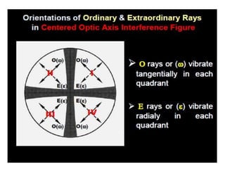 Interference colour and interference figures | PPTX | Geology | Science