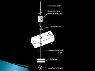 Interference colour and interference figures | PPTX | Geology | Science