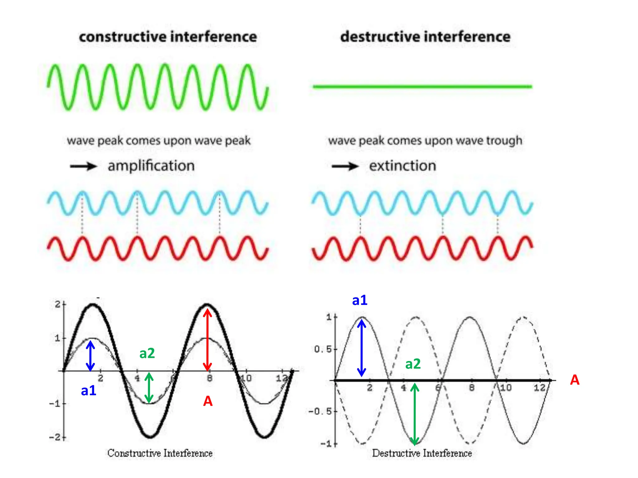 Interference diffraction and polarization.pptx