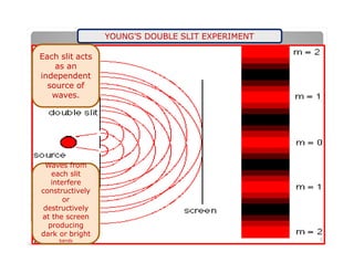 Interference of light waves | PPTX | Physics | Science