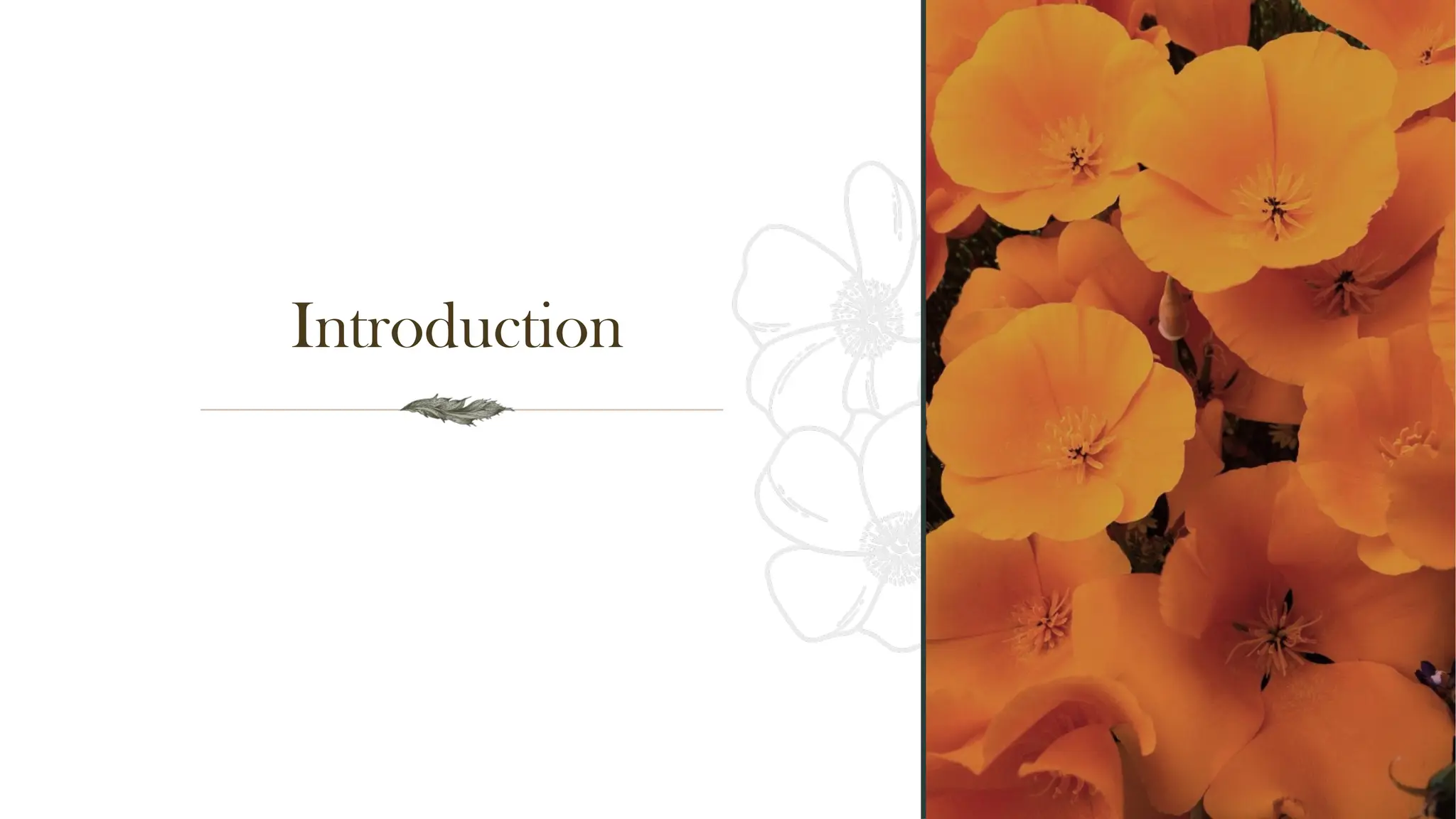 Interferential Therapy (IFT) | PPTX