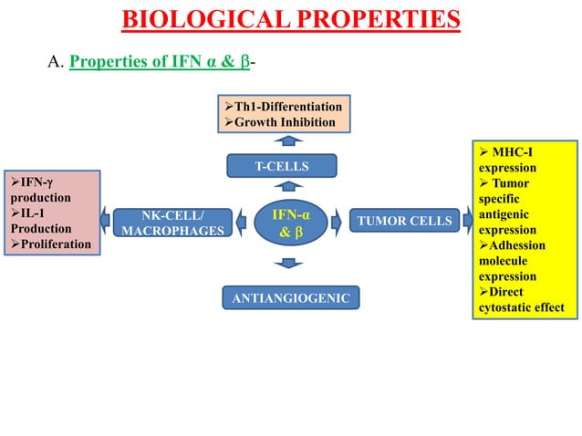 Interferon | PPTX | Genetics | Science