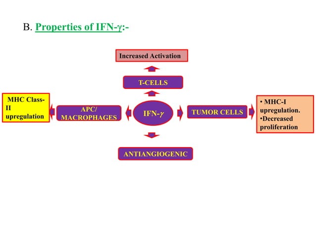 Interferon | PPTX | Genetics | Science