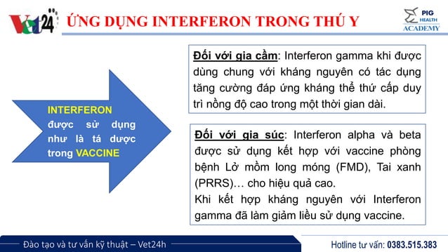 Interferon va ung dung trong thu y | PPTX