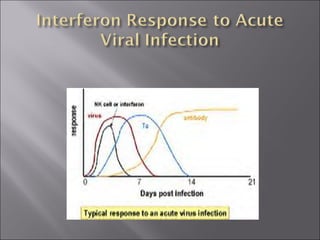 Interferon | PPT
