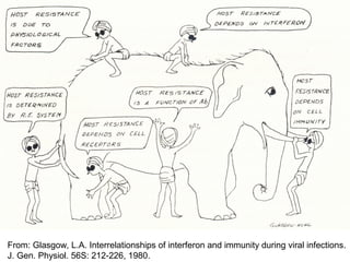 History of Inteferon Slides | PPT | Infectious Diseases | Diseases and ...