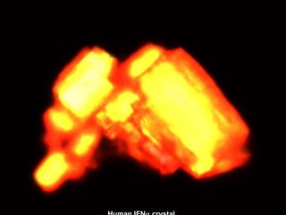 Interferon History Files as of February 2020 | PPTX | Chemistry | Science