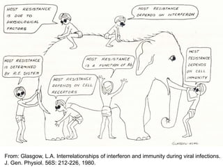 Interferon History Files as of February 2020 | PPTX | Chemistry | Science