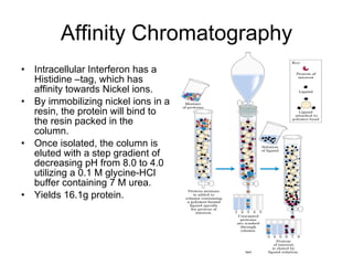 Industrial Production Process for Interferon | PPT