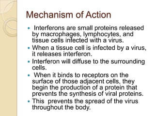 A very Short Introduction about Interferons | PPTX