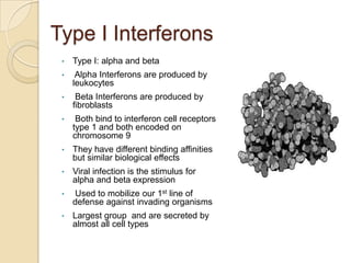 A very Short Introduction about Interferons | PPTX