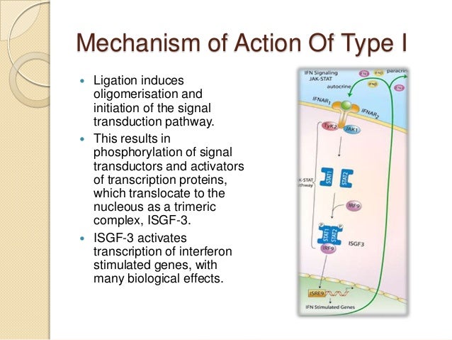 A Very Short Introduction About Interferons